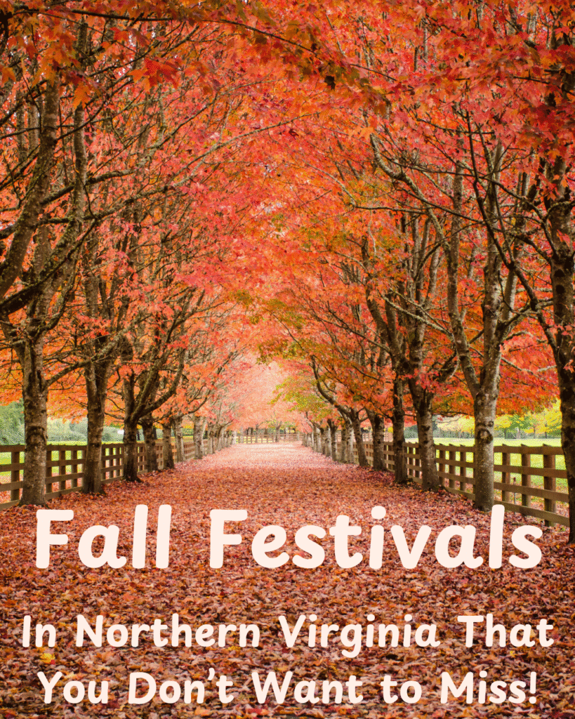 Fall Festivals in Northern Virginia That You Don't Want to Miss!